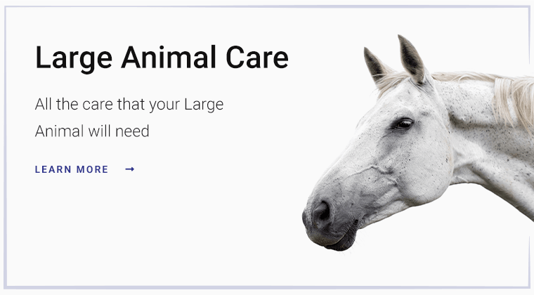 Welcome to New Ulm Regional Veterinary Center